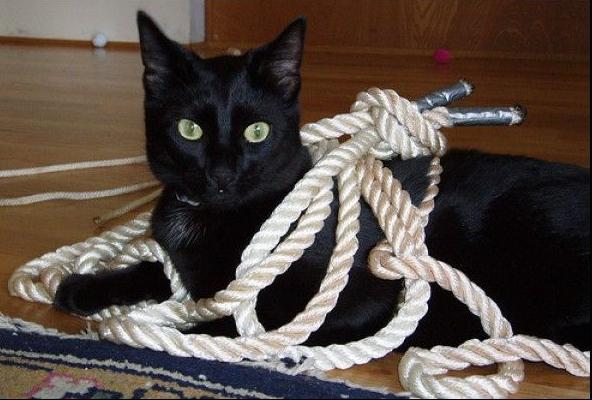 The Work on the Trestleboard: The Trestle Board Cat (from "Zen Masonry ...